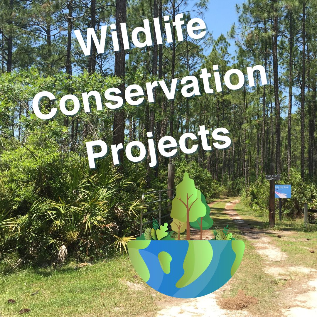Wildlife Conservation Projects | Workamping in Florida